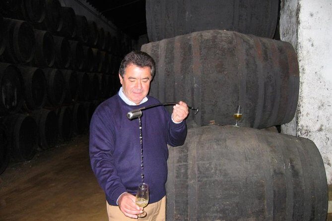 Private wine tour to Jerez de la Frontera - What Reviewers Loved Most