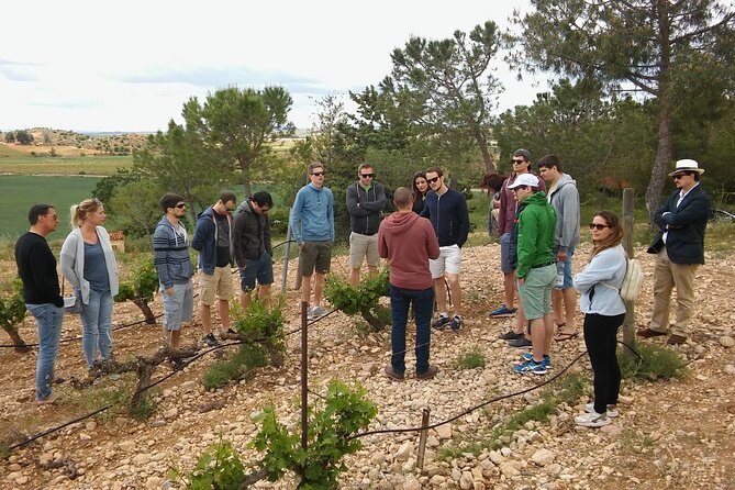 Private Wineries Tour from Valencia (morning tour) - The Sum Up