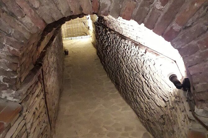 Private Winery and Vineyard Tour with Wine Tasting - The Sum Up