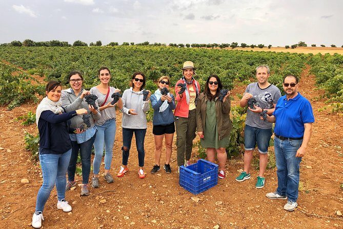 Private Winery Tour near Madrid with Sommelier (6-hour) - Why This Tour Is Worth the Price