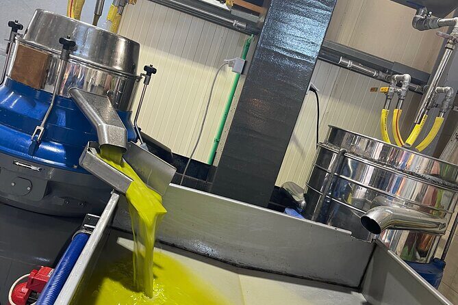 PRIVATE-Winery+Olive Oil Factory-Old Villages-Old Wind Mills - Transportation & Group Size