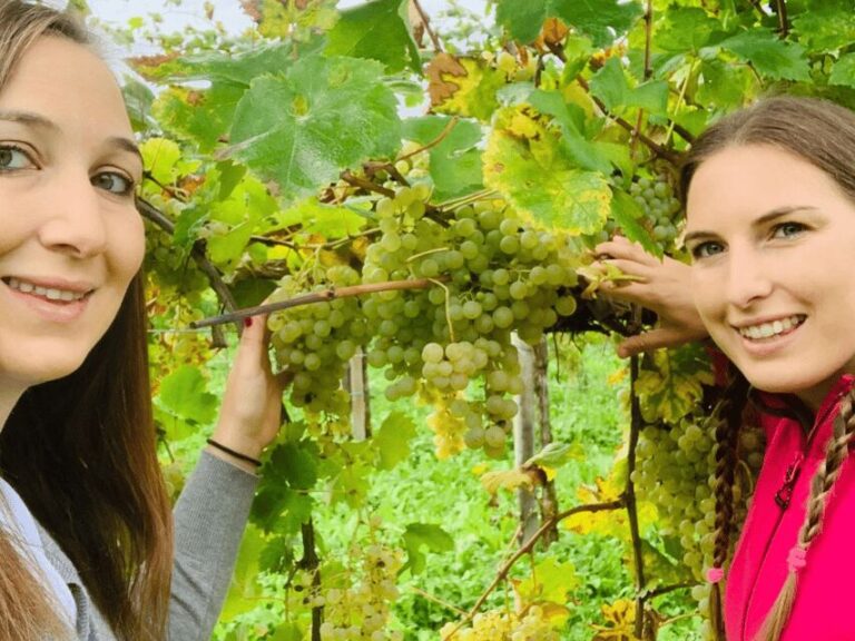 Prosecco Tasting in Countryside Winery - Introducing the Experience