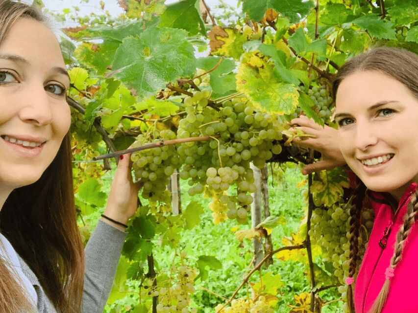 Prosecco Tasting in Countryside Winery - Introducing the Experience