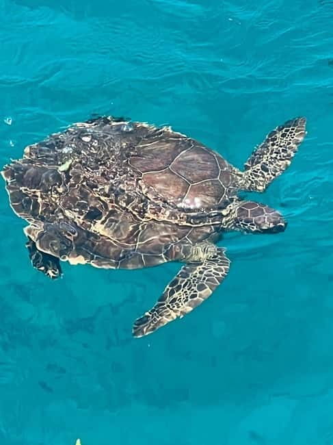 Protaras: Waterworld Turtle Cove Cruise with Swim Stops - The Practical Side: What’s Included & What to Consider