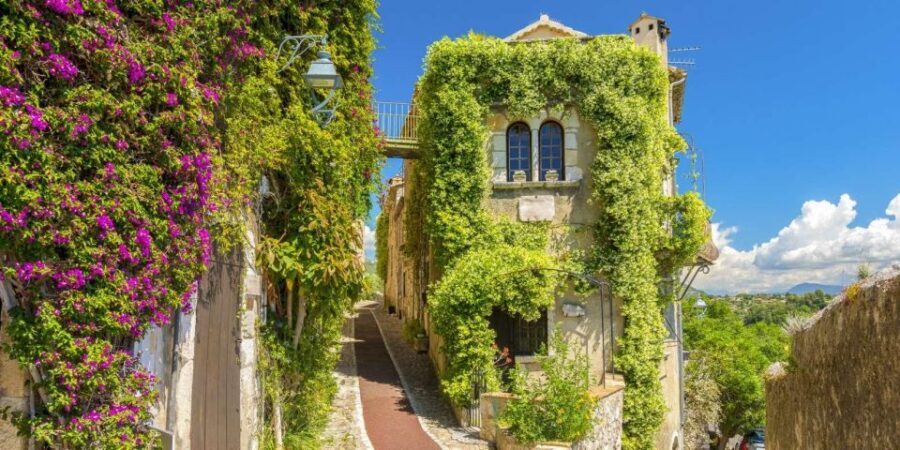 Provence Countryside & Medieval Villages Day Trip - Who Will Enjoy This Tour?