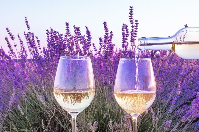 Provence small group half-day wine tour from Aix - Why You’ll Love This Tour