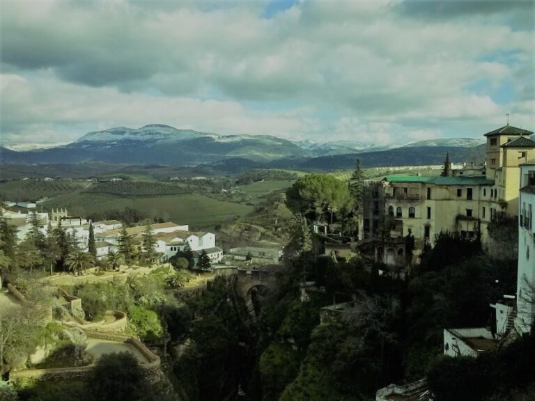 Pueblos Blancos & Ronda: Private Full-Day Tour from Seville - Who Would Love This Tour?