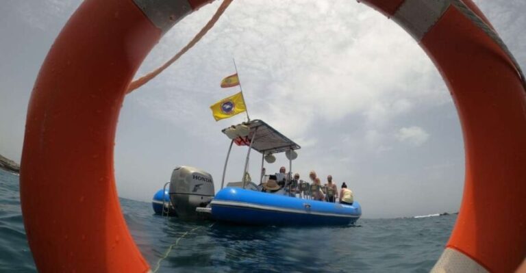 Puerto Colon: Dolphin and Whale Watching Speedboat Tour - What Reviewers Love Most