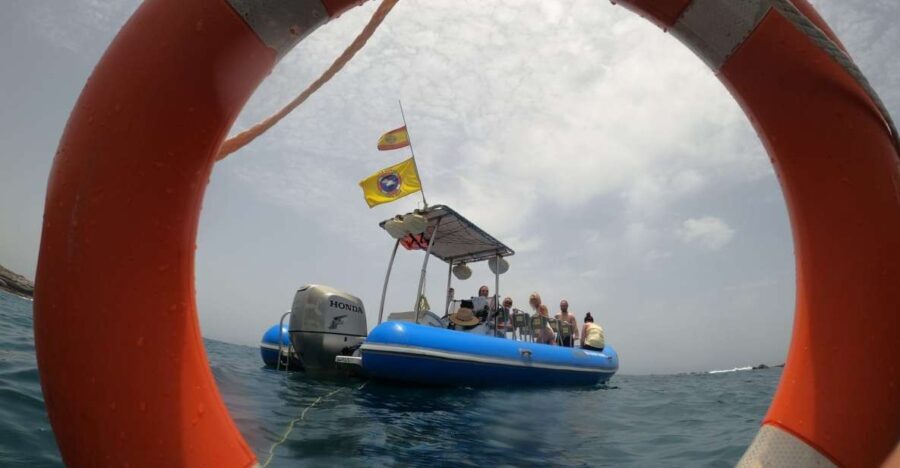 Puerto Colon: Dolphin and Whale Watching Speedboat Tour - What Reviewers Love Most