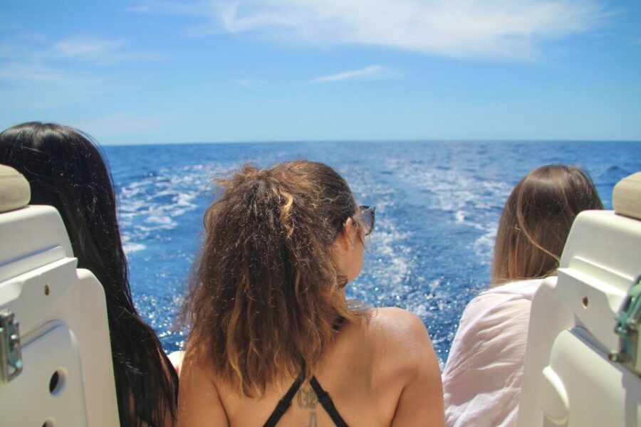 Puerto Colon : Whale & Dolphins Sailing Excursion - What Sets This Tour Apart?