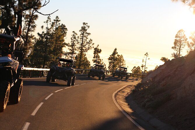 Puerto de la Cruz: Buggy Teide Day National Park - Who Should Book This Tour?