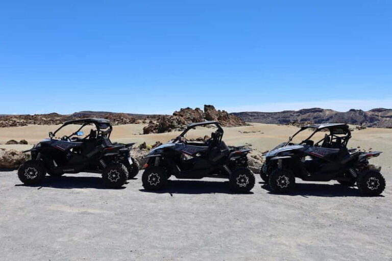 Puerto de la Cruz: Teide National Park Buggy Tour - Who Will Love This Tour?