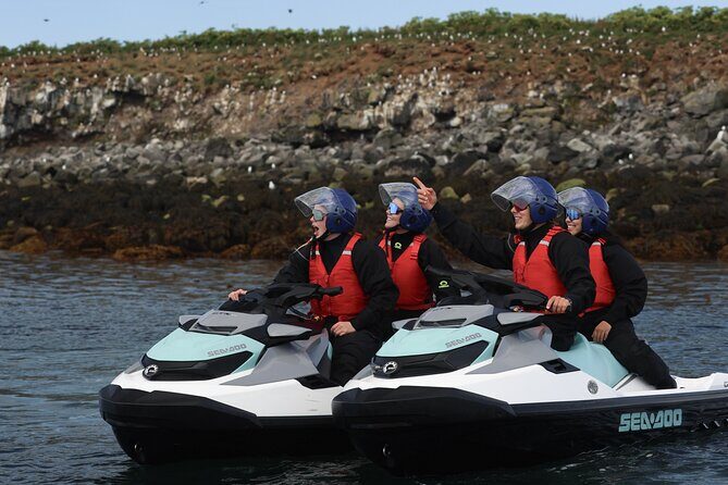 Puffin Jet ski tour in Reykjavík - The Sum Up: Who Is This Tour Best For?