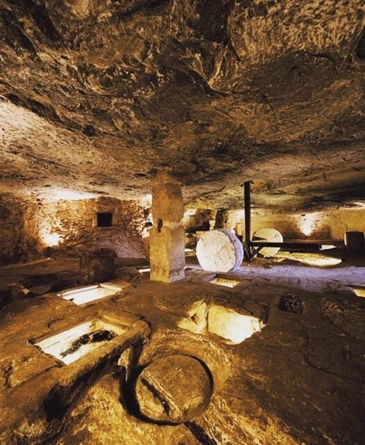 Puglia: Olive Oil Tasting Experience with Olive Grove Walk - FAQ