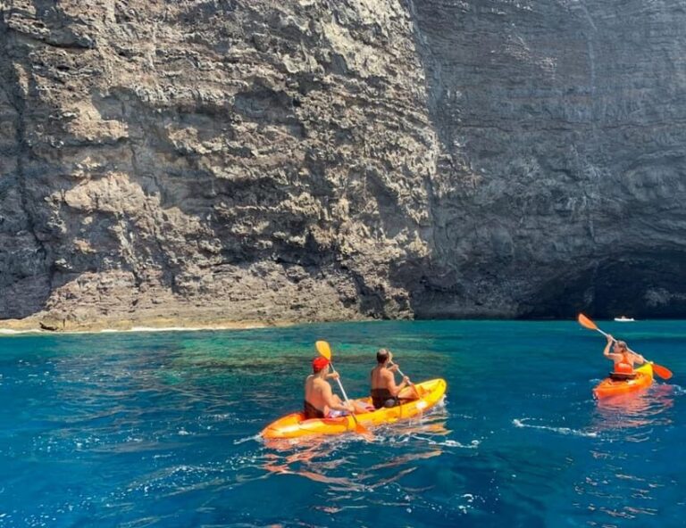 Punta de Teno: Kayak Safari overlooking Los Gigantes Cliffs - What to Expect from the Tour