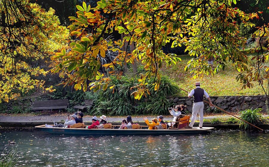 A punt gliding under willow trees on the Avon River in Christchurch