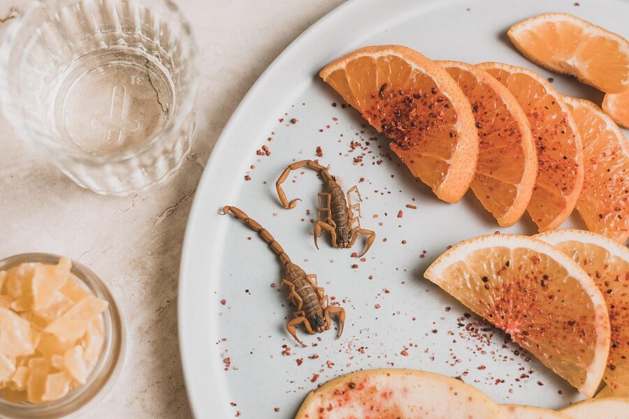 Mezcal bottle with orange slices and sal de gusano flat lay