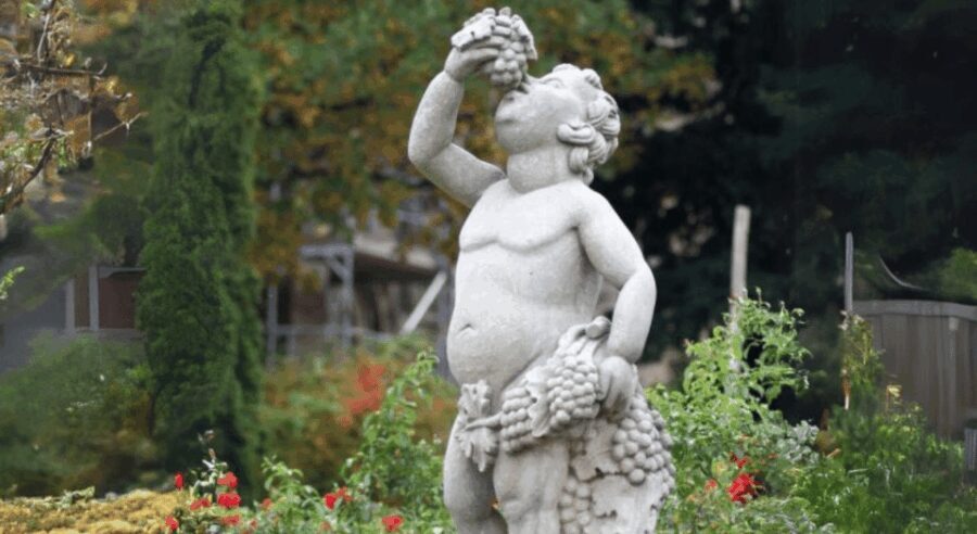 Quedlinburg UNESCO World Heritage Group Tour (private) - Value and Practical Considerations