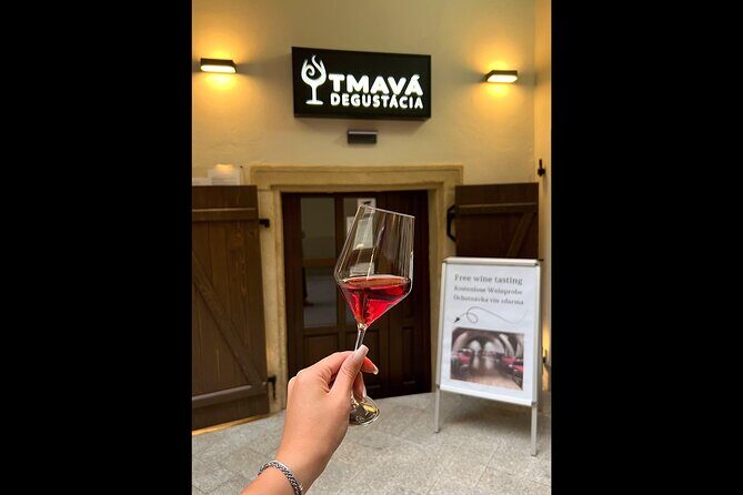 Quick Wine Tasting in Michalská - Who Should Consider This Tour?
