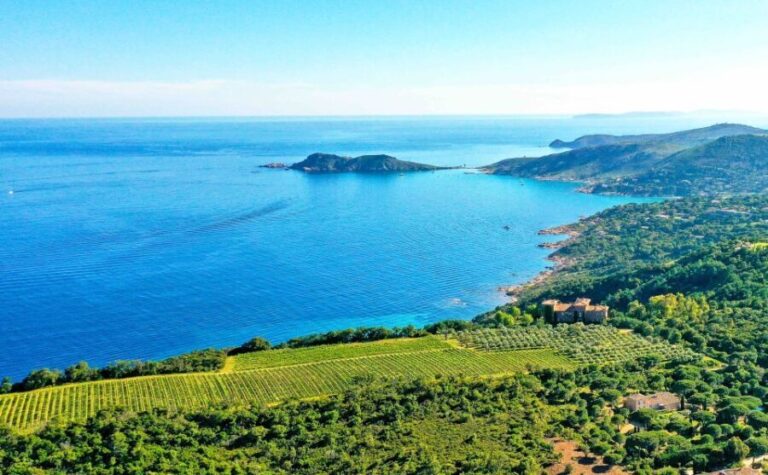 Ramatuelle: Tracks & Tasting Winery Tour by Mountain E-Bike - What to Expect During the Tour