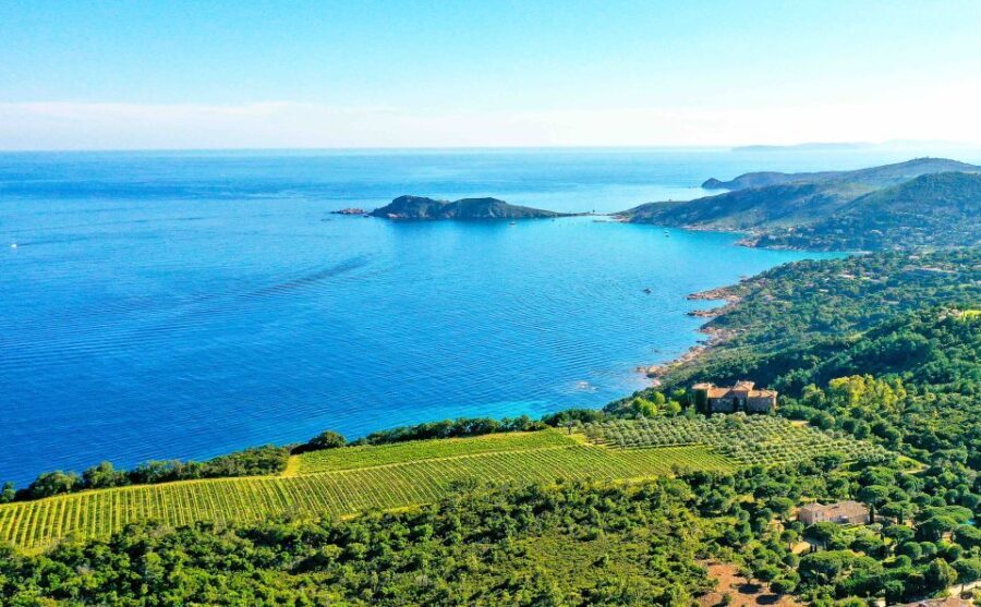 Ramatuelle: Tracks & Tasting Winery Tour by Mountain E-Bike - What to Expect During the Tour