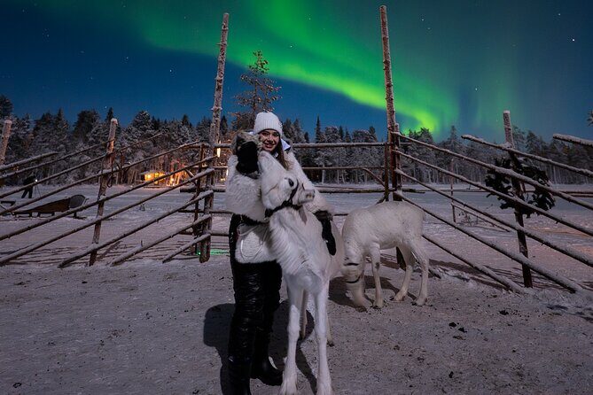 Ranua Lupland Aurora Activity Park  After Dark Adventure - Practical Details and Value