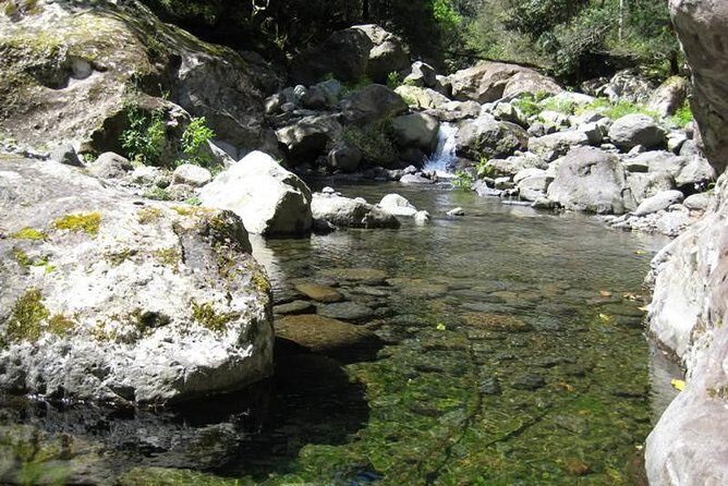 Referta Castelejo Levada Walk from Funchal - Why This Tour Is a Great Choice