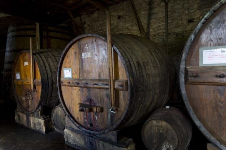 Régua: Wine tasting at a Quinta, traditional lunch, cruise, and train ride - Authentic Moments Review Highlights