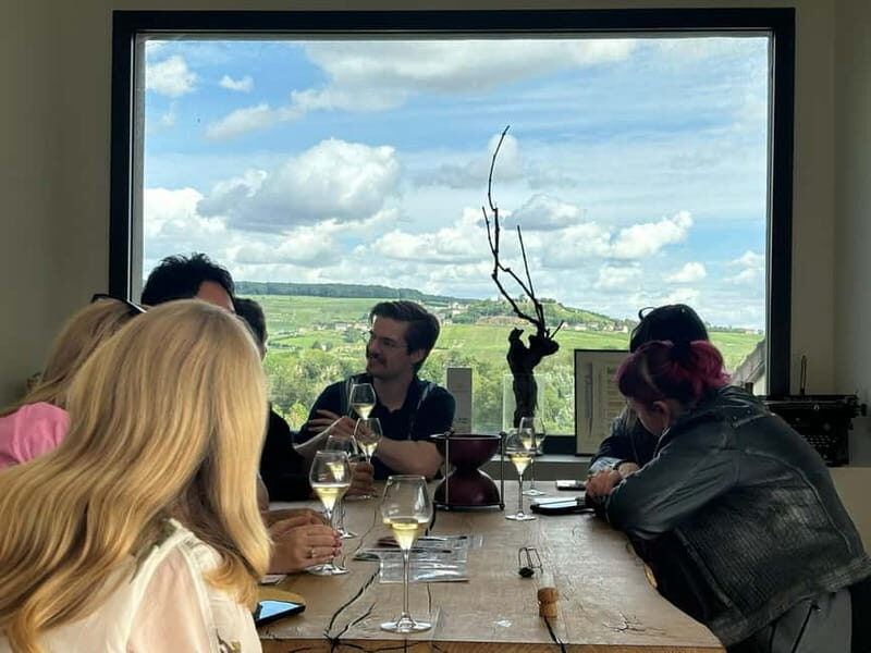 Reims or Epernay: Short day family growers & lunch - Who Should Consider This Tour?