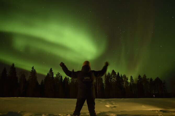 Reindeer Sleigh Ride Across the Night in Apukka Resort Rovaniemi - Real Experiences from Reviewers