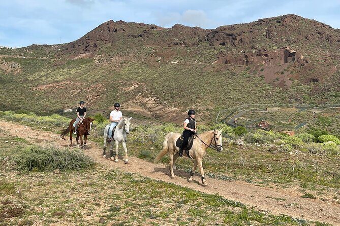 Relaxing Horse Riding Tour in Gran Canaria - Authentic Experiences from Past Riders