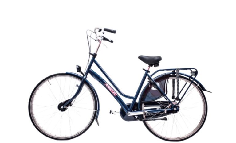 Rent a bike in Amsterdam | 1, 2, 3+ hours - What to Expect from This Bike Rental Experience