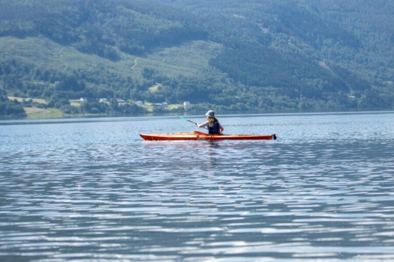 Rental - Sea Kayak - Real Experiences from Past Participants
