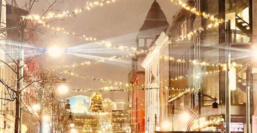 Reykjavik Christmas Walking Tour - Who Will Love This Tour?