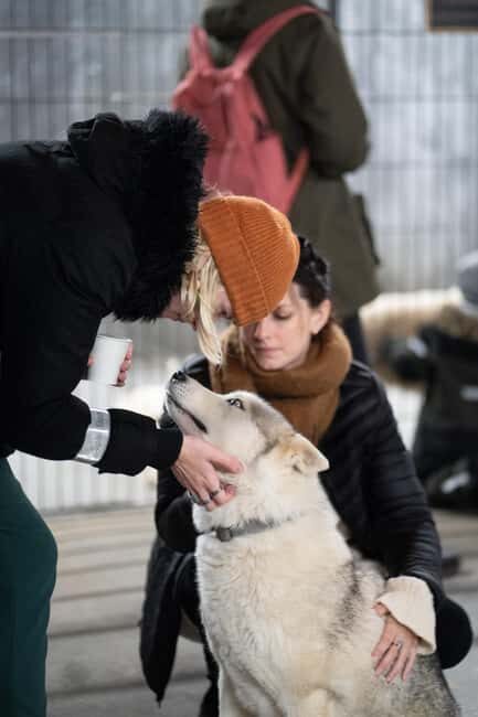 Reykjavík: Husky Kennel Visit with Hot Drinks - The Itinerary Breakdown