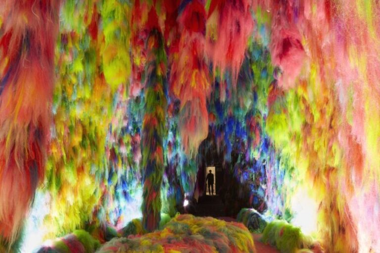 Reykjavík: Multi-Sensory Art Installation Chromo Sapiens - The Itinerary: What to Expect During Your Visit