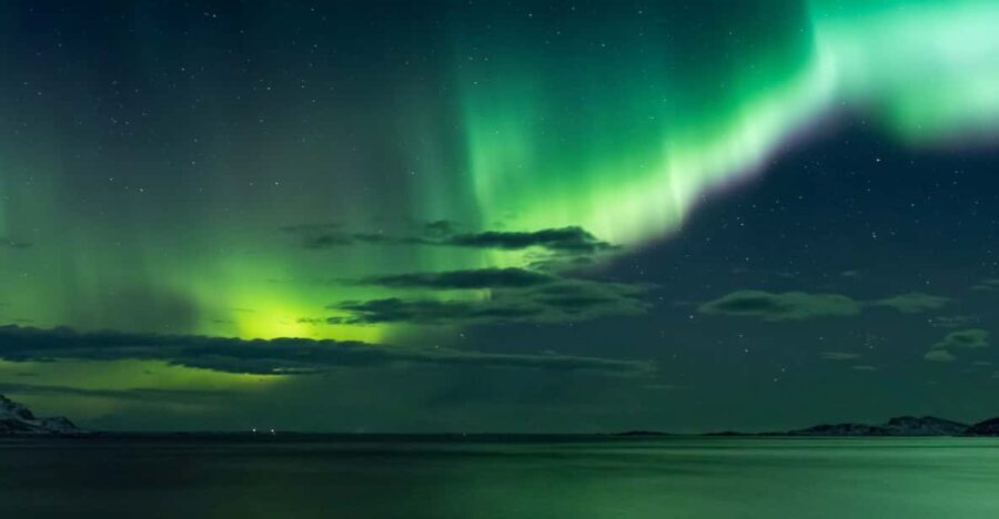Reykjavik: Northern Lights with Icelandic Treats - What the Tour Offers & How It Runs