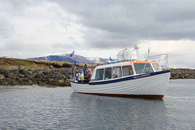 Reykjavik Shore Excursion: Puffin Sightseeing Cruise - Who This Tour Is Perfect For