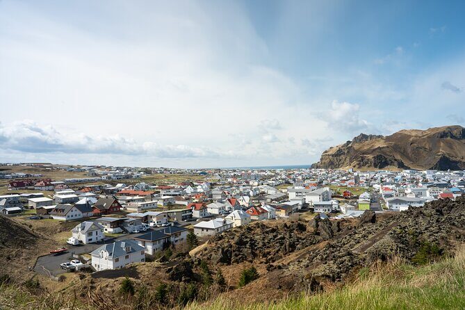 Reykjavík: Westman Islands, Volcanoes and Puffins Minibus Tour - What Makes This Tour Stand Out?