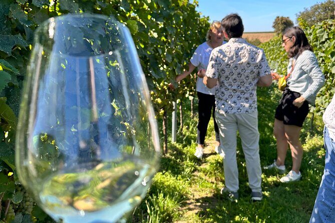 Rhine Valley Wine Tasting Tour from Frankfurt and Mainz - Final Thoughts