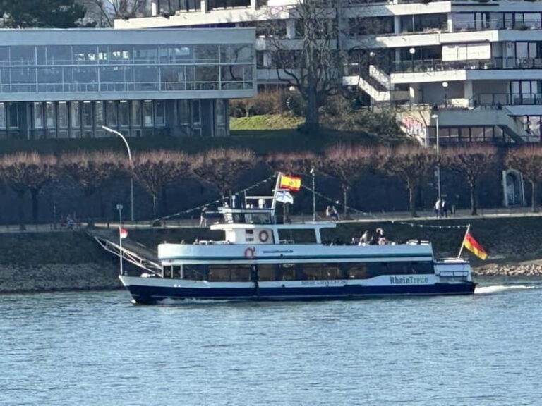 RhineRiverBoatTour from Bonn to Königswinter with Live Guide - The Experience: What You’ll Encounter