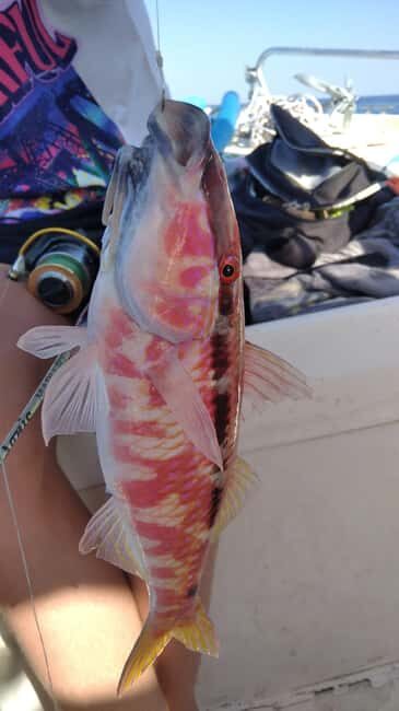 Rhodes: (4H/6H) Private Boat Fishing Trip with Equipment - Why This Tour Is a Great Choice