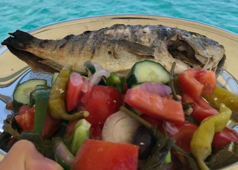 Rhodes: Fishing Boat Trip (Small Group, Food & Drinks incl.) - Who Will Love This Experience?