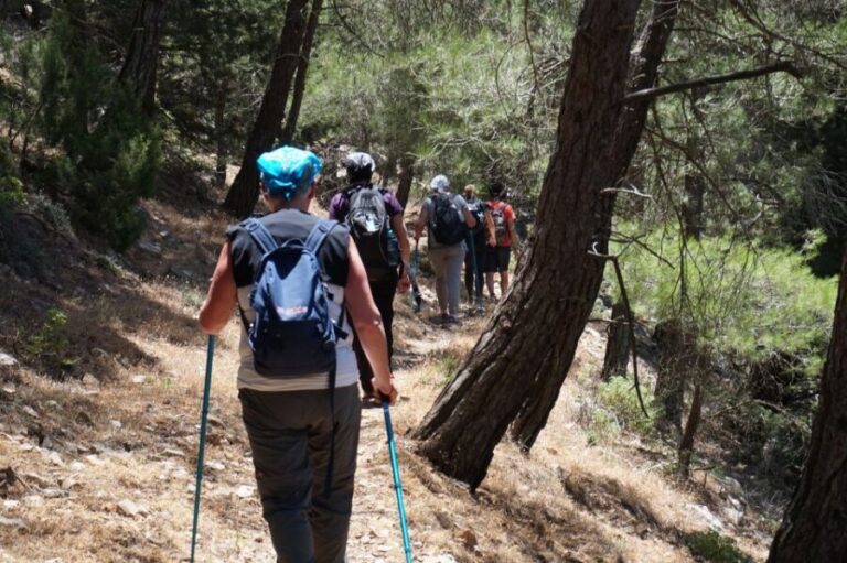 Rhodes: Hiking Tour to the Summit of Akramitis with Photos - What Youll Experience on the Day