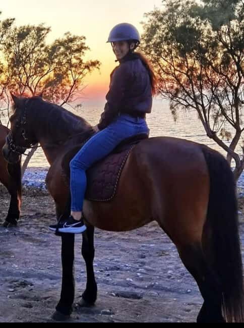 Rhodes Island: Horseback Riding at the Beach During Sunset - The Itinerary: What to Expect