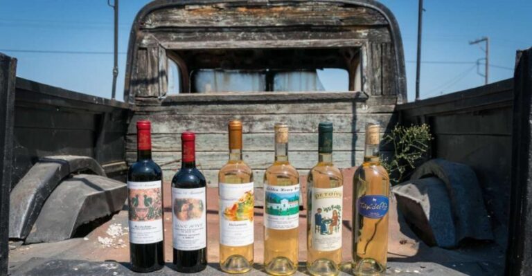 Rhodes: Winery Tour, Tasting and cooking with the Winemaker - The Full Breakdown of the Experience