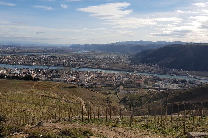 Rhône Valley Wine Tasting Private Day Tour from Lyon - The Experience: What Sets It Apart