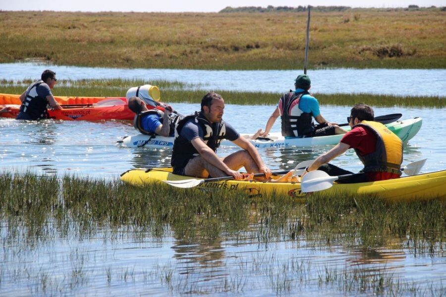 Ria Formosa National Park: Kayak Trip - In-Depth: What to Expect During Your Ria Formosa Kayak Adventure