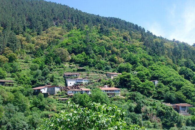 Ribeira Sacra by Boat and Ourense Tour from Santiago - FAQ