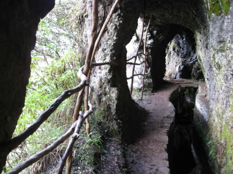 Ribeiro Frio / Portela Full day hike - A Closer Look at the Full-Day Hike Experience